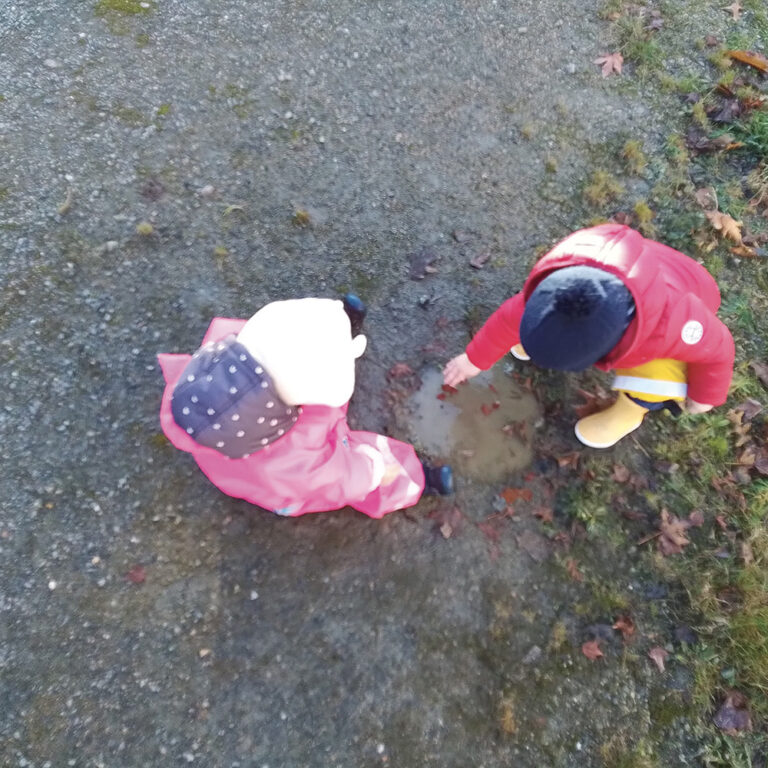 Micro-crèche Bambi Fox à Nozay